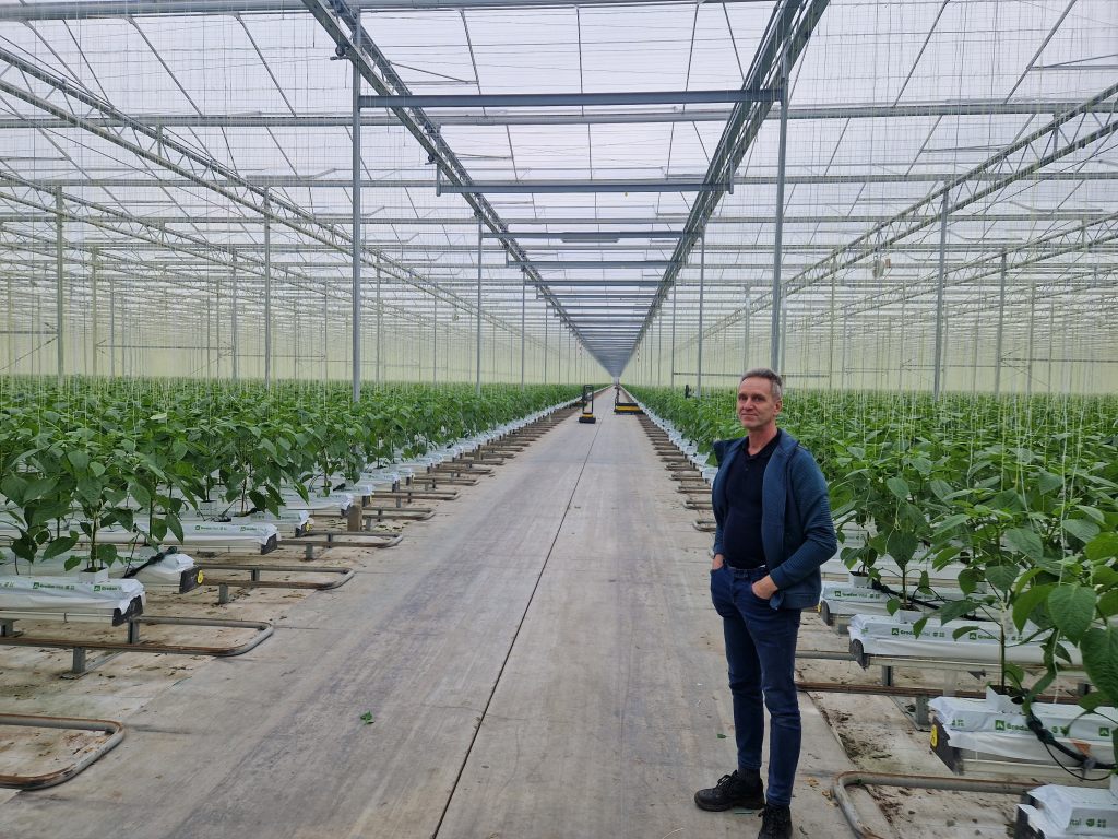 Toekomstproof paprikakwekerij: Een Interview met Ruud Duijnisveld - Janszon